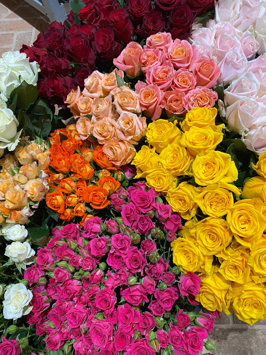 ROSES – Farmgate Flowers Direct