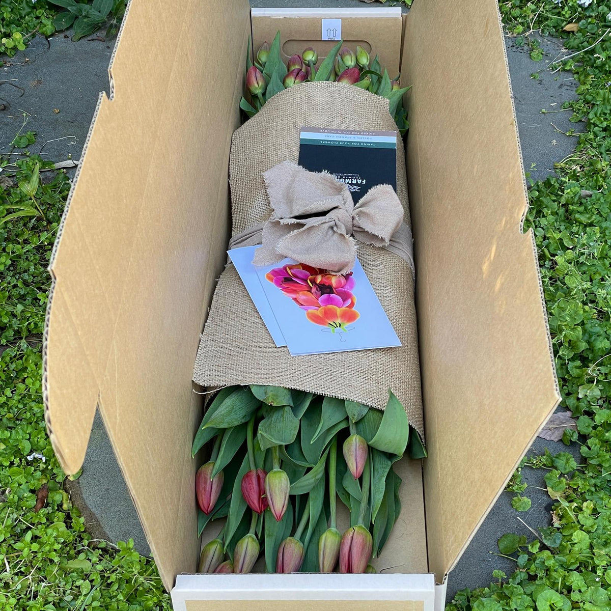 Gift Tulip Farm Flower Bouquet in a box - flower delivery Brisbane ...