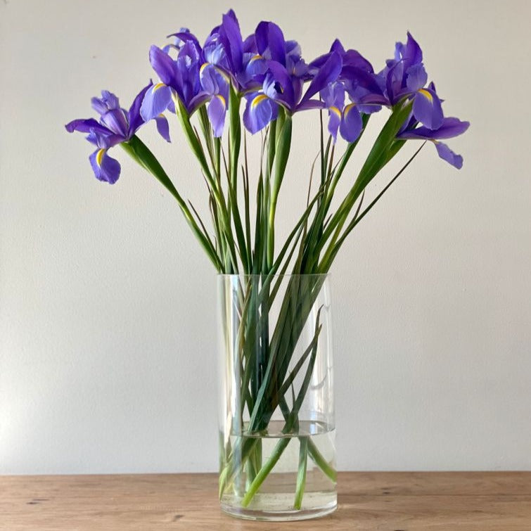 FARM FRESH DUTCH IRIS - SINGLE BUNCH – Farmgate Flowers Direct